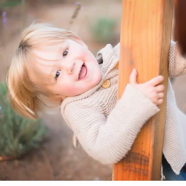 MICHELLE LEE PHOTOGRAPHY - Santa Rosa, California - Session Photography ...