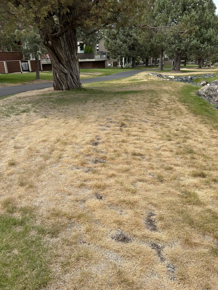 BLUESTONE LANDSCAPE - Updated December 2025 - 20 Photos - New Lenox ...