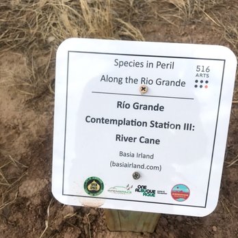 PASEO DEL BOSQUE TRAIL - Updated July 2025 - 117 Photos & 28 Reviews ...