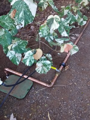 Roto-Rooter Plumbing & Drain Services - Updated January 2026 - 26 ...