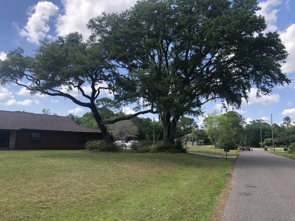 MOW MUSCLE TREE SERVICE - Updated November 2025 - 4770 Pine Needle St ...