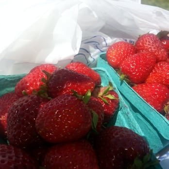 UNGER FARMS - Updated December 2025 - 86 Photos & 22 Reviews - 34180 SW ...