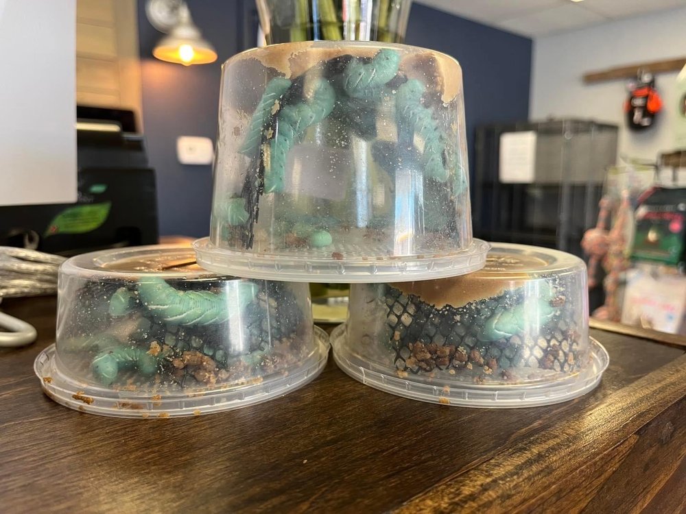 ROSS PET BARN - Updated June 2024 - Request Information - 4176 Hamilton ...