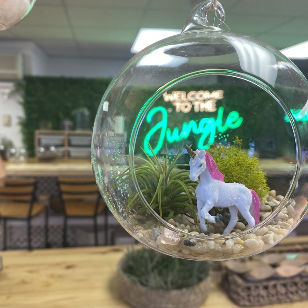 EM’S STEMS - Updated August 2025 - 33 Photos - 5131 US Ave, Plattsburgh, New York - Nurseries ...