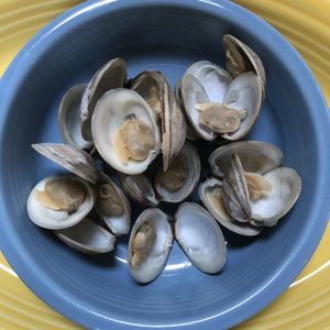 AVALON SEAFOOD - 28 Photos & 51 Reviews - 2909 Ocean Dr, Avalon, New ...