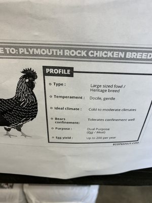 HELMLY BROTHERS ACE HDWE - Updated November 2025 - 650 Railroad Ave ...