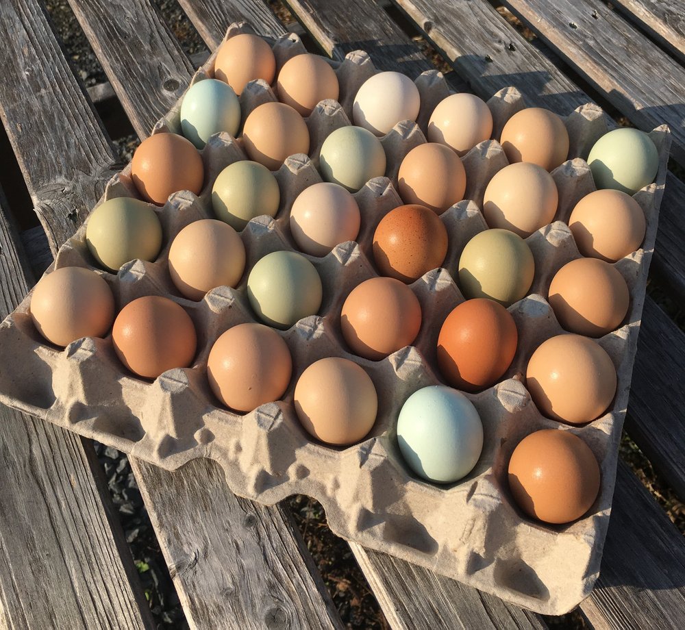 MISTY VALLEY FARM - Updated May 2025 - 13 Photos - 1425 Valley Rd ...