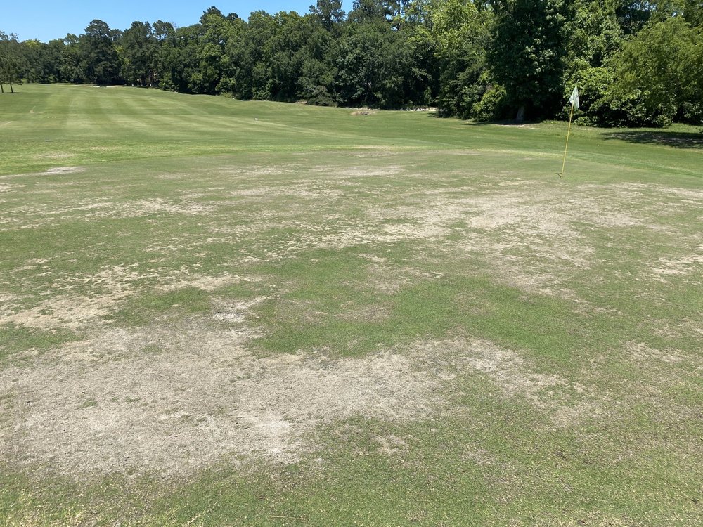 River Plantation Golf Club, Conroe | Roadtrippers