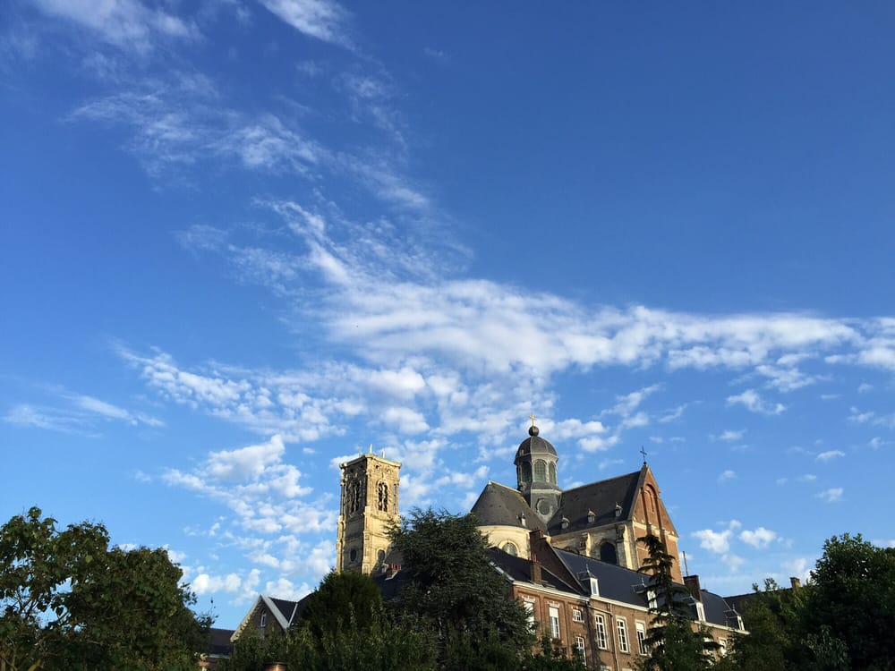 FENIKSHOF - Updated April 2025 - 18 Photos & 12 Reviews - Abdijstraat ...