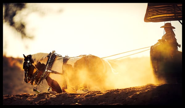 LOMBARDI RANCH - Updated January 2026 - 17 Photos & 17 Reviews - 29527 ...