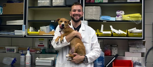 LOUISIANA STATE UNIVERSITY VETERINARY TEACHING HOSPITAL - Updated ...