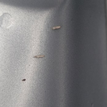 ELYRIA HYUNDAI - Updated December 2025 - 27 Photos & 66 Reviews - 845 ...