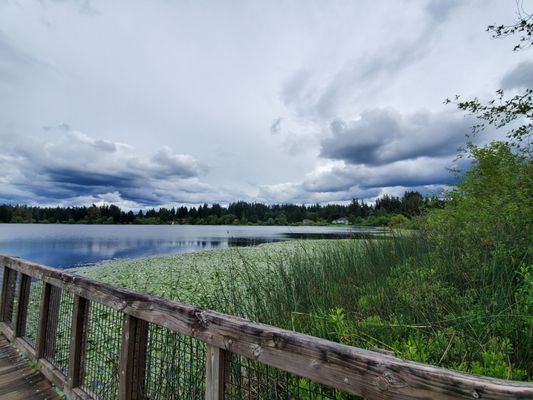 PHANTOM LAKE PARK - Updated June 2024 - 48 Photos - 2034 156th Ave SE ...
