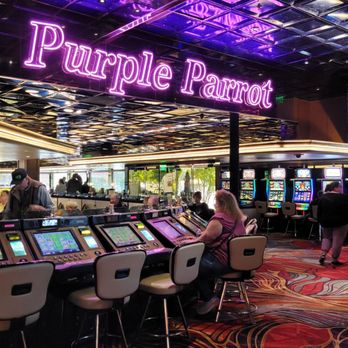 ATLANTIS PURPLE PARROT - Updated September 2024 - 449 Photos & 287 ...