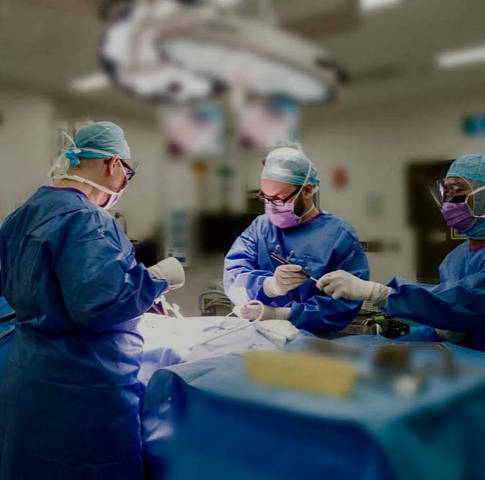 LUCAS, PETER DR - Updated July 2024 - 259 Wickham Tce, Brisbane ...