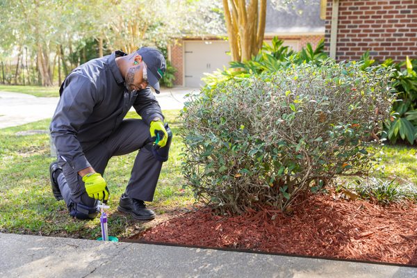 WESTERN EXTERMINATOR COMPANY - Updated December 2025 - 56 Photos & 385 ...