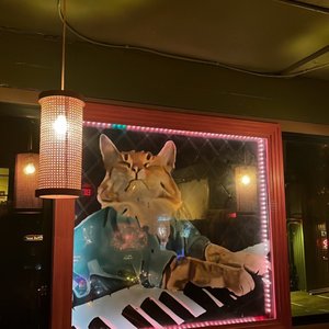 ADD-A-BALL - 125 Photos & 194 Reviews - 315 N 36th St, Seattle, WA - Yelp