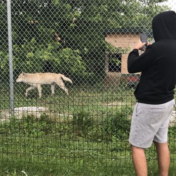 WOLF PARK - Updated December 2024 - 97 Photos & 29 Reviews - 4004 E ...
