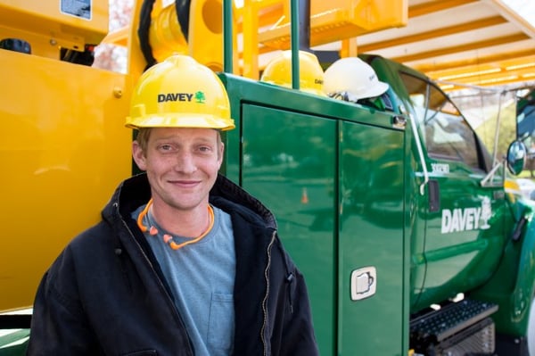 THE DAVEY TREE EXPERT COMPANY - Updated December 2025 - 29 Photos & 30 ...