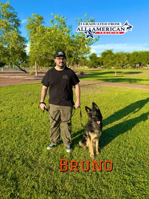 ALL-AMERICAN K-9 DOG TRAINING - Updated September 2024 - 515 Photos ...