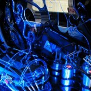 PENNY PINCHER - Updated October 2025 - 52 Reviews - 2401 W Van Buren St ...