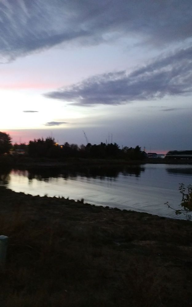 AMTRAK TRAIN STATION - Updated August 2024 - 13 Reviews - 401 Harris ...