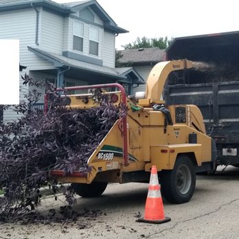 ALL SEASON TREE SERVICE - Updated October 2025 - 46 Photos - PO Box ...