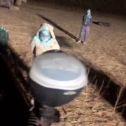 FERRARI FARMS - 96 Photos & 35 Reviews - Pick Your Own Farms - 4701 ...