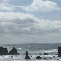 BANDON BAIT - Updated October 2025 - 82 Photos & 108 Reviews - 110 1st ...