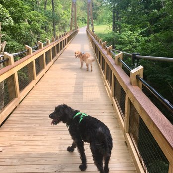 GRAND RAVINES DOG PARK - Updated October 2025 - 30 Photos & 38 Reviews ...