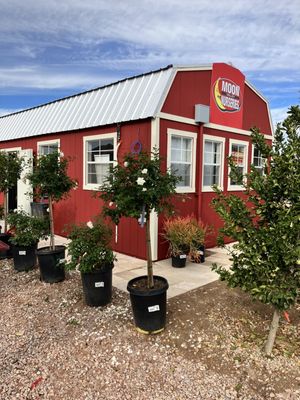 MOON VALLEY NURSERIES - Updated October 2025 - 57 Photos & 52 Reviews - 5545 W Hunt Hwy, Queen ...