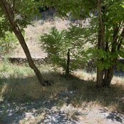 MEMORY GROVE PARK - 170 Photos & 72 Reviews - 300 N Canyon Rd, Salt ...