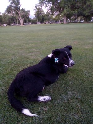 UNM NORTH GOLF COURSE - Updated July 2025 - 34 Photos & 16 Reviews ...