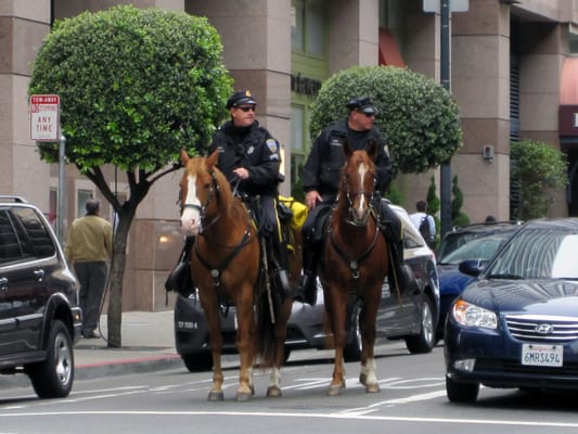 SAN FRANCISCO POLICE DEPARTMENT - Updated December 2025 - 138 Photos ...