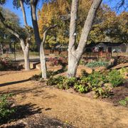 GRAPEVINE BOTANICAL GARDENS - 256 Photos & 58 Reviews - 411 Ball St ...