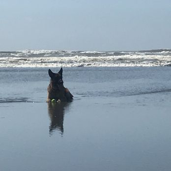 OCEAN CITY RV RESORT - Updated January 2026 - 16 Photos & 18 Reviews ...