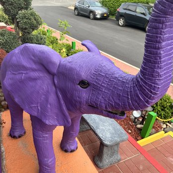THE PURPLE ELEPHANT - 674 Photos & 570 Reviews - 81 Fort Salonga Rd ...