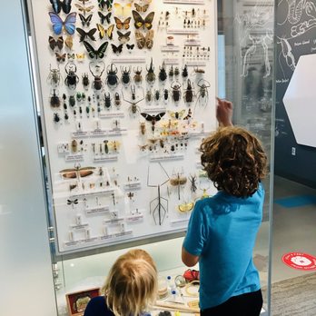 MORRILL HALL - Updated December 2025 - 87 Photos & 34 Reviews - 645 N ...