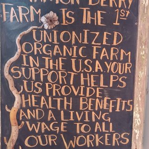 SWANTON BERRY FARM - 1019 Photos & 484 Reviews - 25 Swanton Rd ...