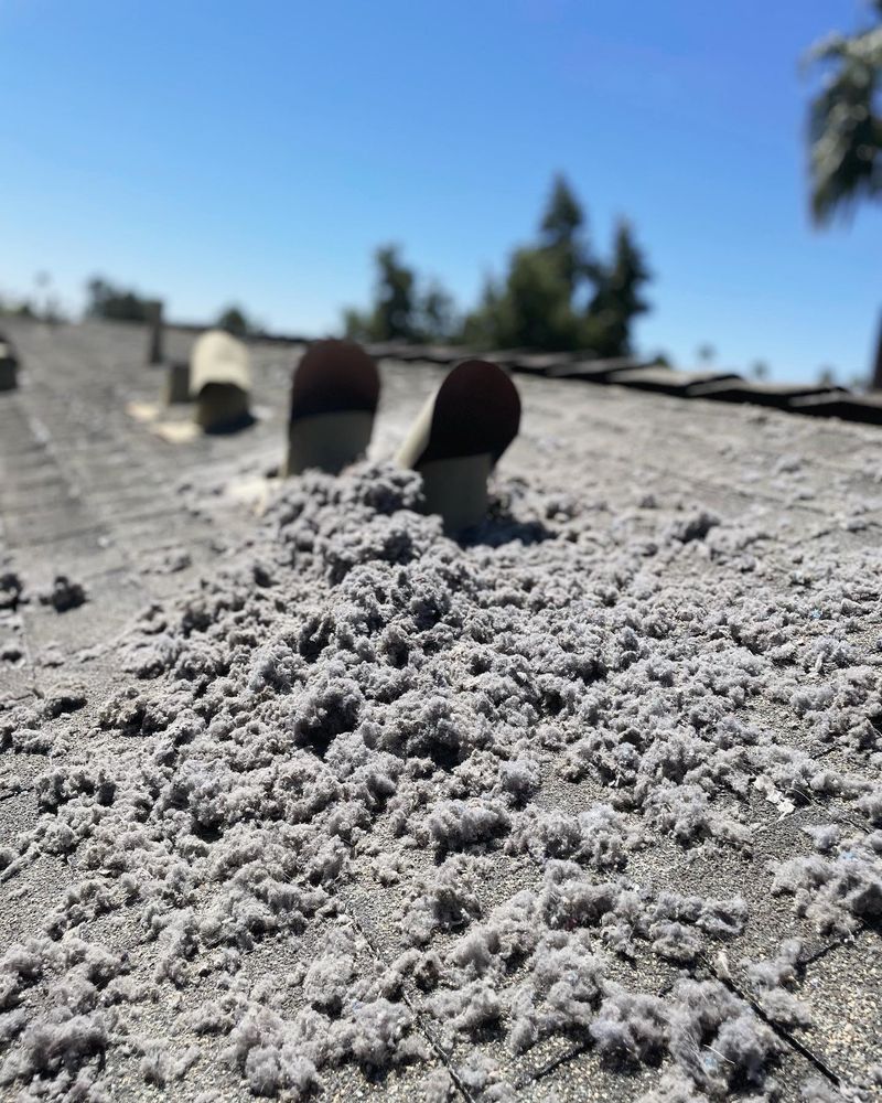 PRIME VENT CLEANING - Updated August 2025 - 14 Photos - Phoenix ...