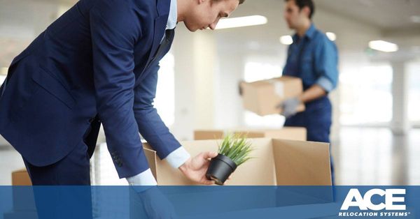 ACE RELOCATION SYSTEMS, INC - Updated December 2025 - 139 Photos & 142 ...