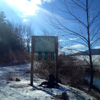 POLYFACE - Updated December 2025 - 18 Photos & 21 Reviews - 43 Pure ...