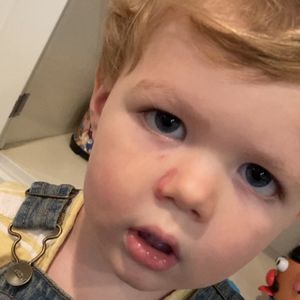 BOULDER RIDGE WILD ANIMAL PARK - 130 Photos & 45 Reviews - 8313 Pratt ...