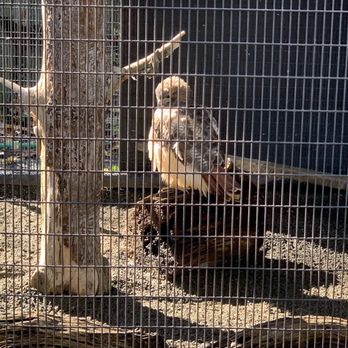 TRAILSIDE MUSEUMS & ZOO - Updated November 2025 - 188 Photos & 34 ...