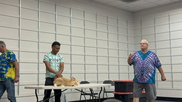 REPTILE RON ANIMAL PRESENTATIONS - Updated December 2025 - 44 Photos ...