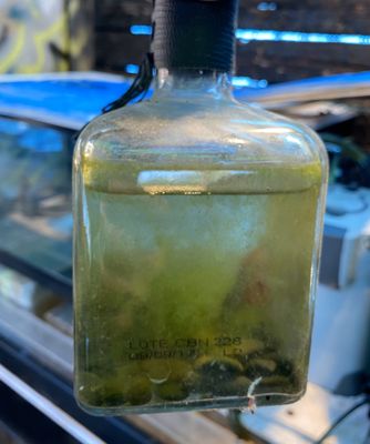 NEIGHBORHOOD FISH FARM - Updated May 2024 - 74 Photos & 68 Reviews ...