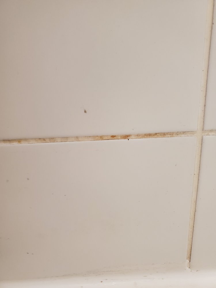 PARK INN - Updated January 2025 - 18 Photos - 4 Clarence St W, Belfast ...