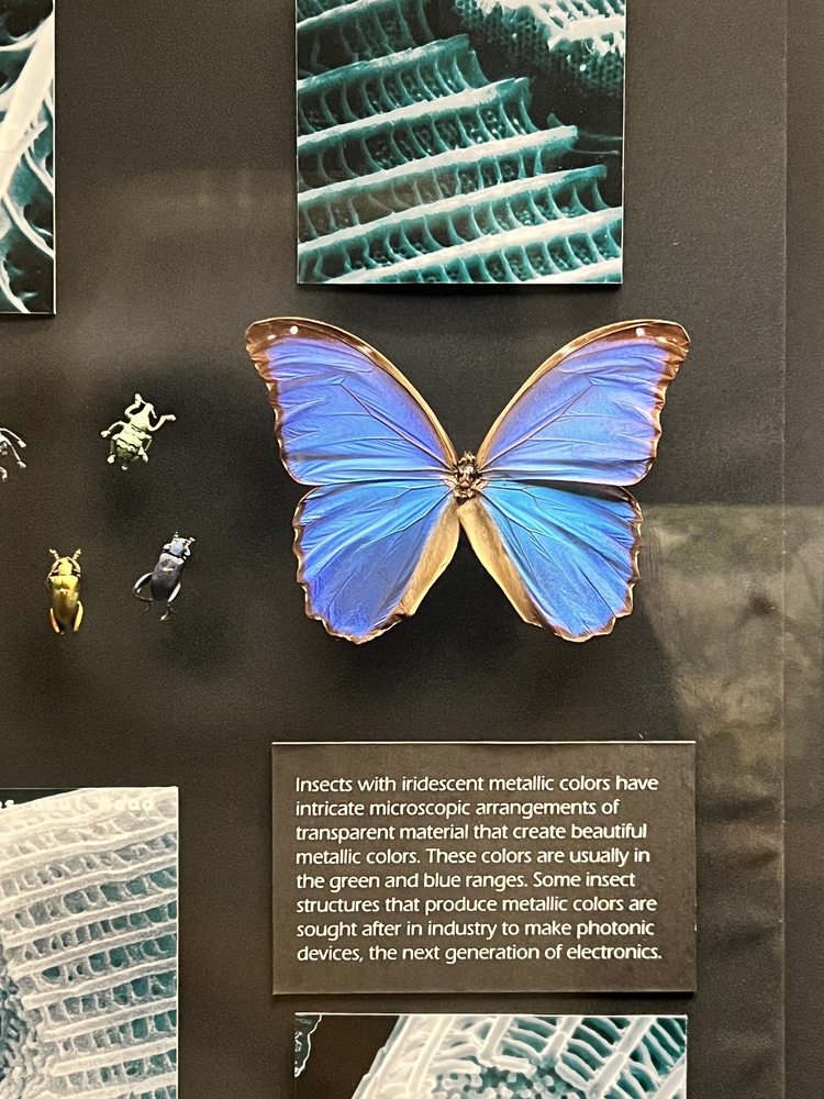 TEXAS SCIENCE & NATURAL HISTORY MUSEUM - 134 Photos & 42 Reviews - 2400 ...