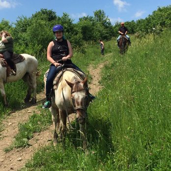 RT. 80 QUARRY RIDGE STABLES - Updated October 2025 - 28 Photos & 11 ...