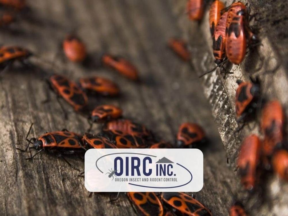 OREGON INSECT & RODENT CONTROL - GRESHAM - Updated March 2025 - 15 ...